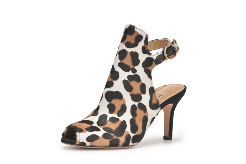 Collection | Pellico